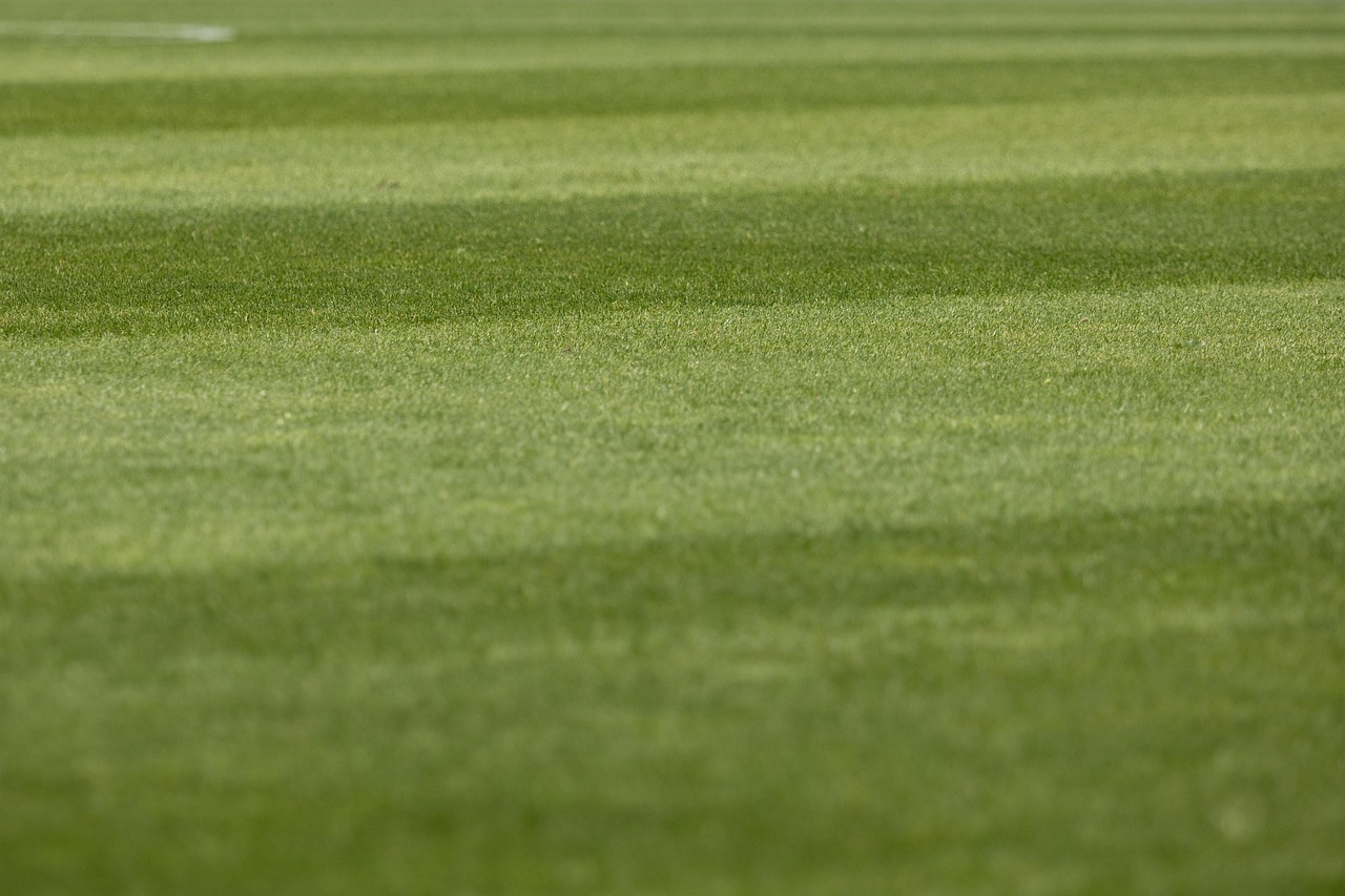 How to Create Striped Lawn Patterns Like a Professional ⋆ Lawn Care ...